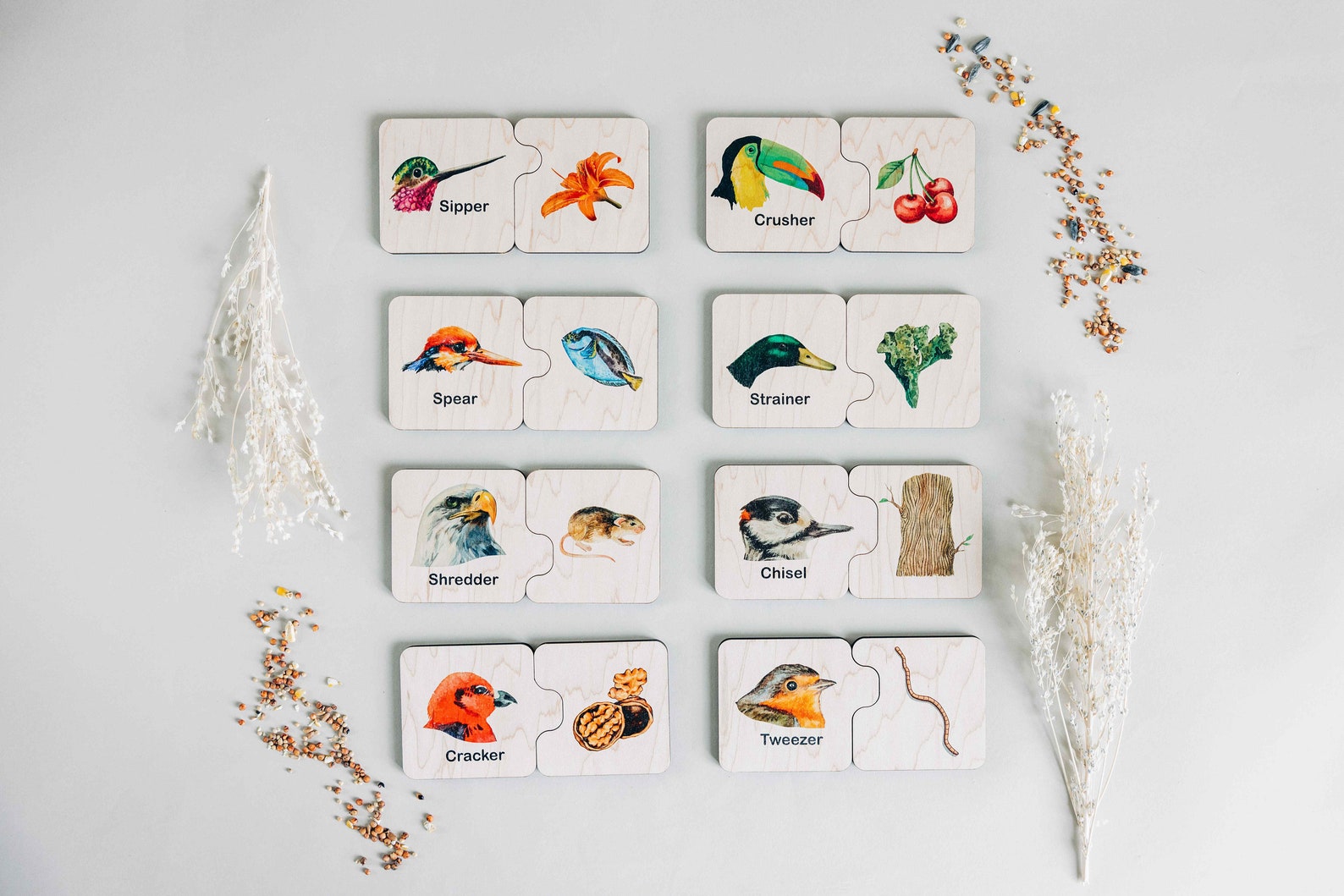 Double sided self-correcting bird beak adaptations puzzle, Montessori ...
