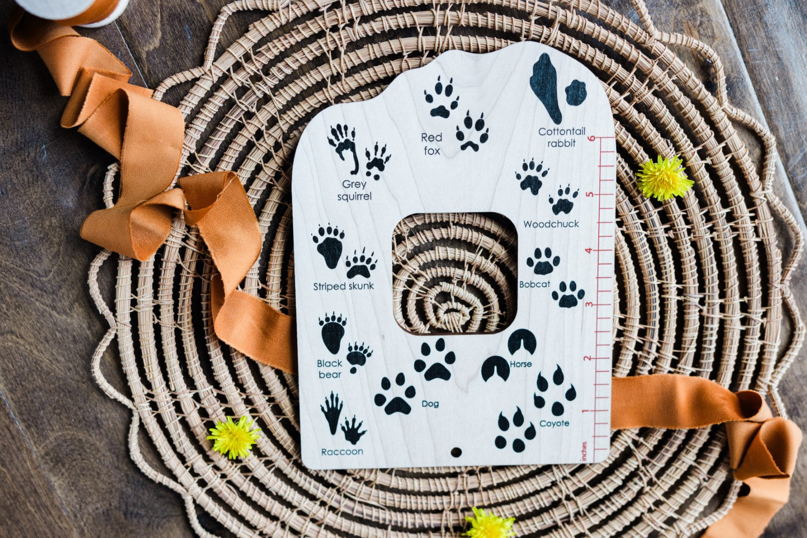 Double sided Trees and tracks nature explorer window – MirusToys