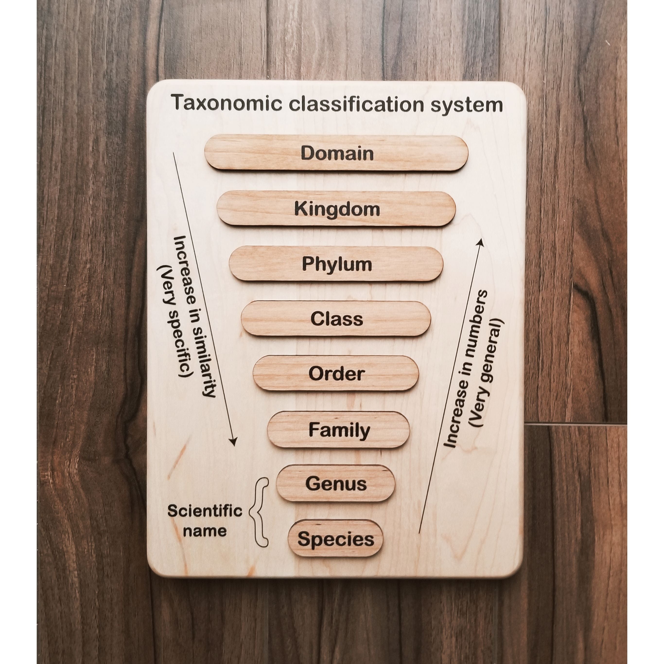 Taxonomy puzzle - Classification chart - Animal kingdom classification ...
