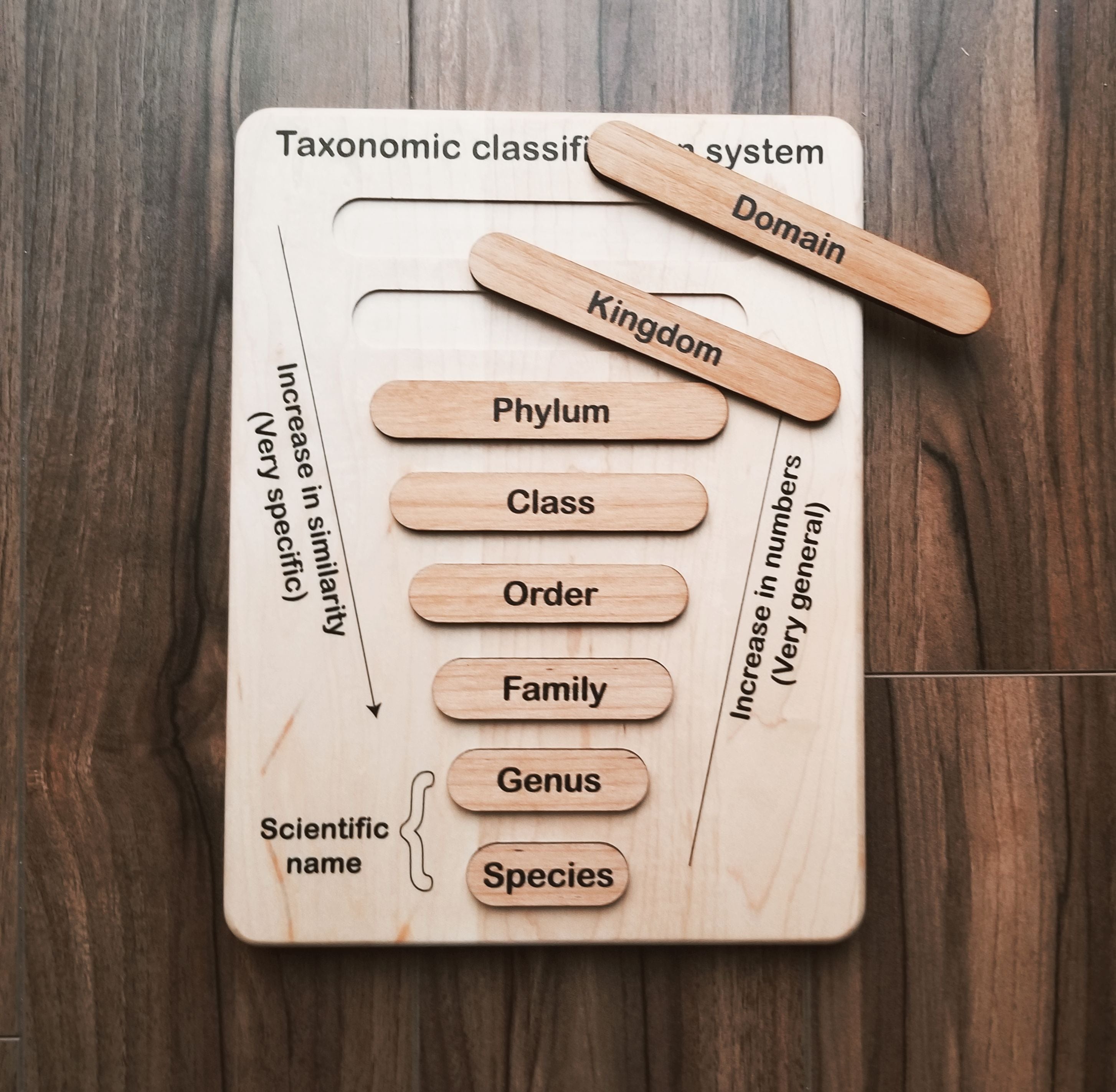 Taxonomy puzzle - Classification chart - Animal kingdom classification ...