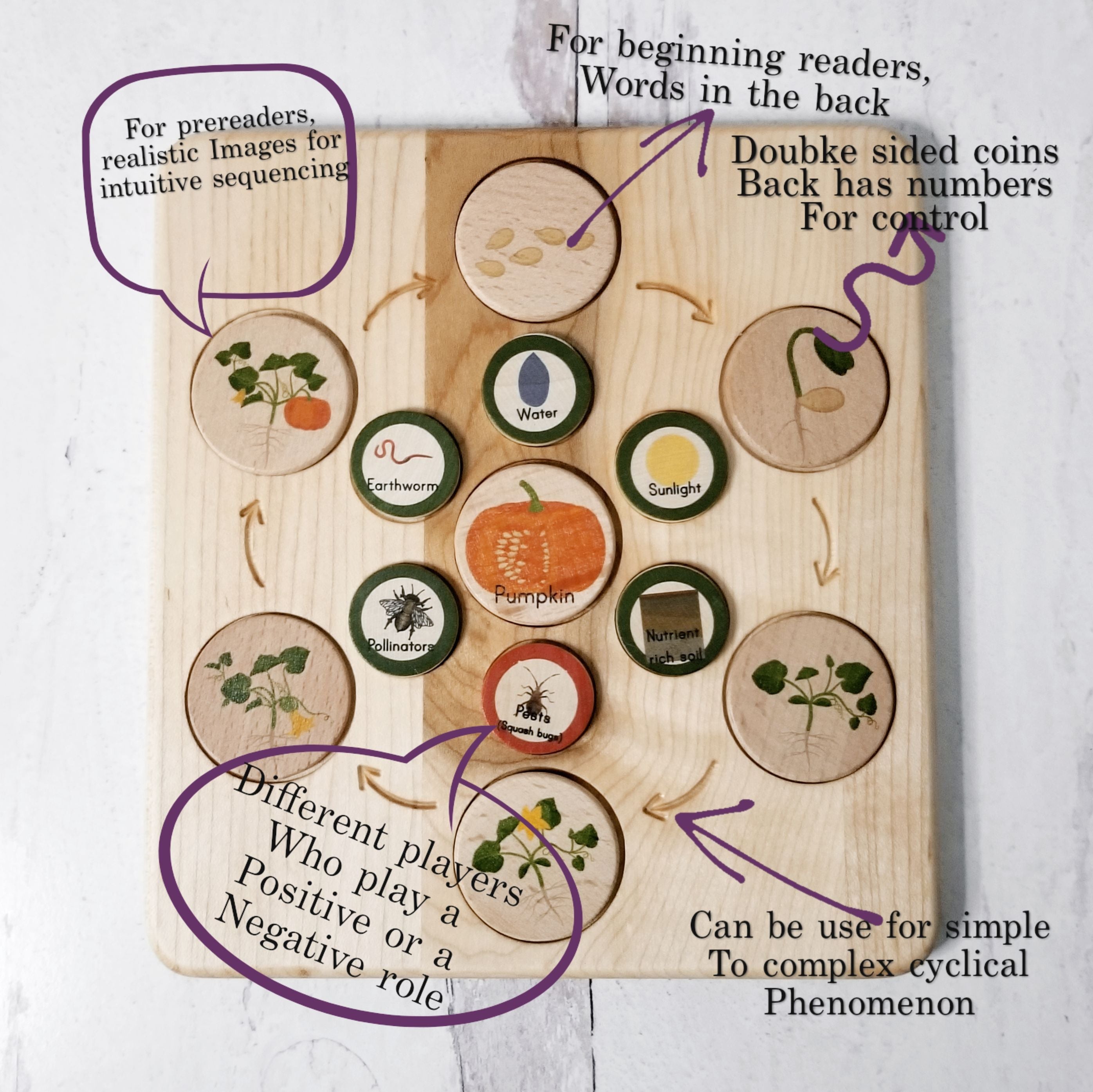 Life cycle board wooden - Montessori science – MirusToys