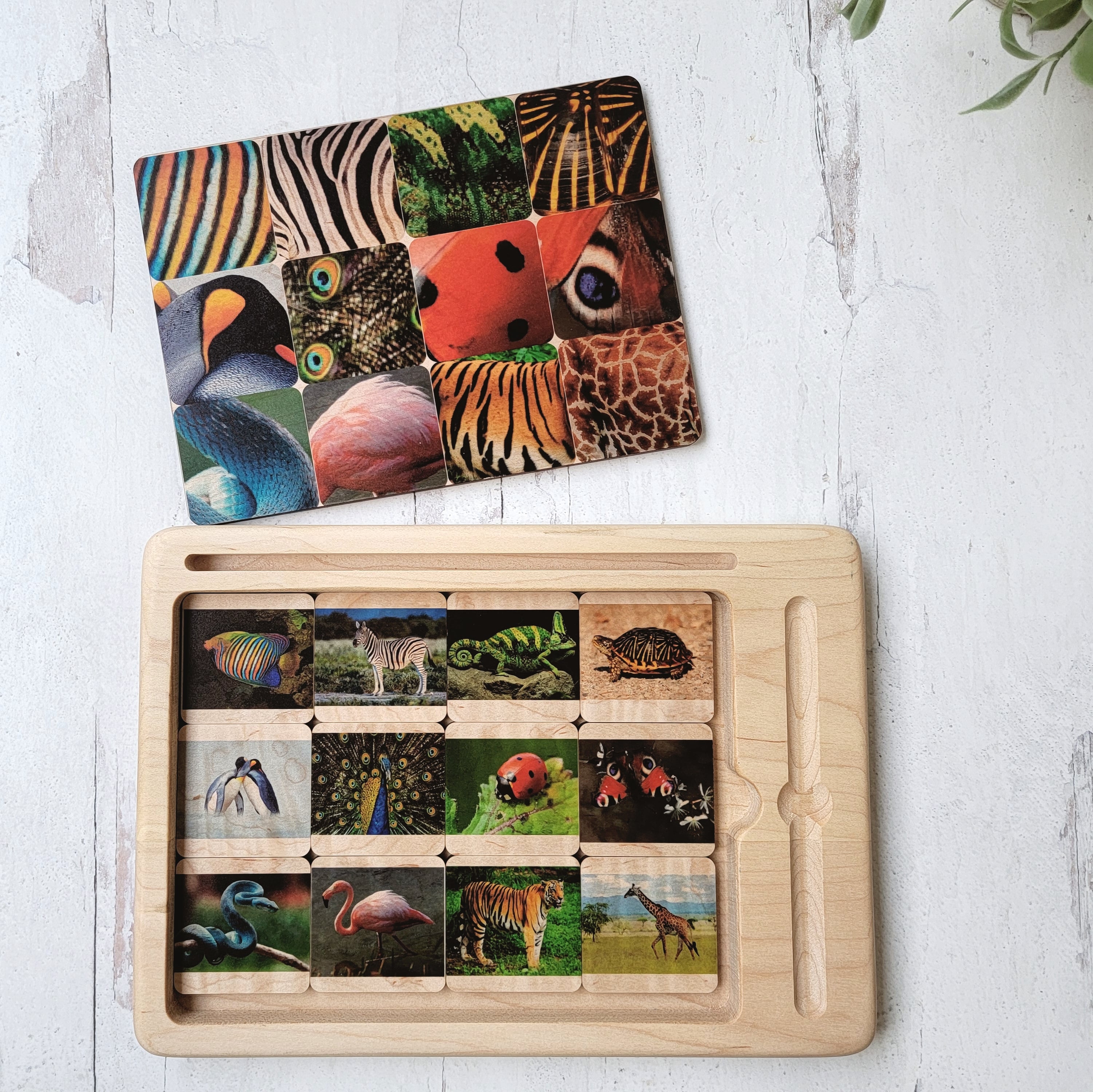 SECONDS/IMPERFECT Skin matching game - Pattern matching, sequencing ...