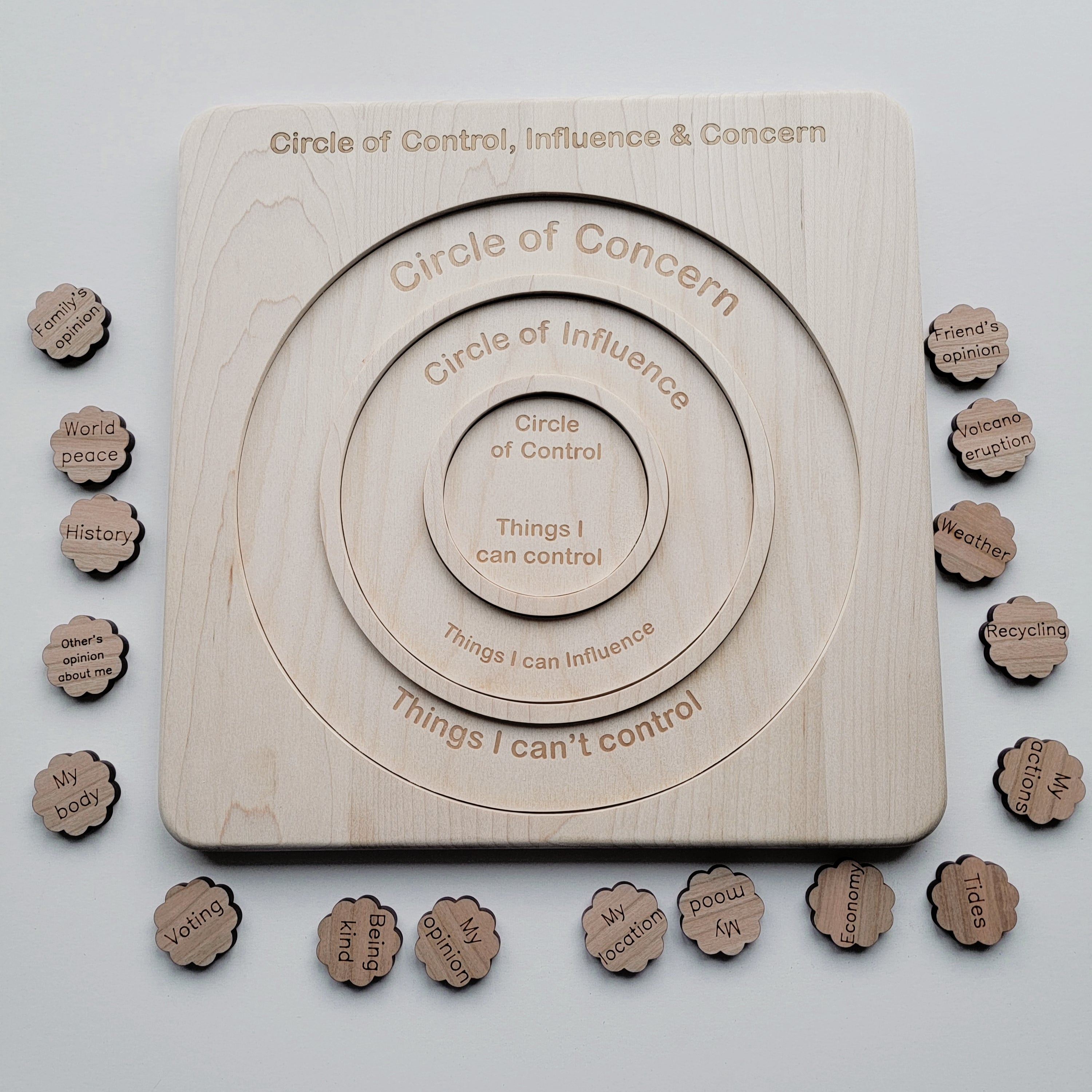 Circle of control board - circle of influence - circle of concern - Gr ...