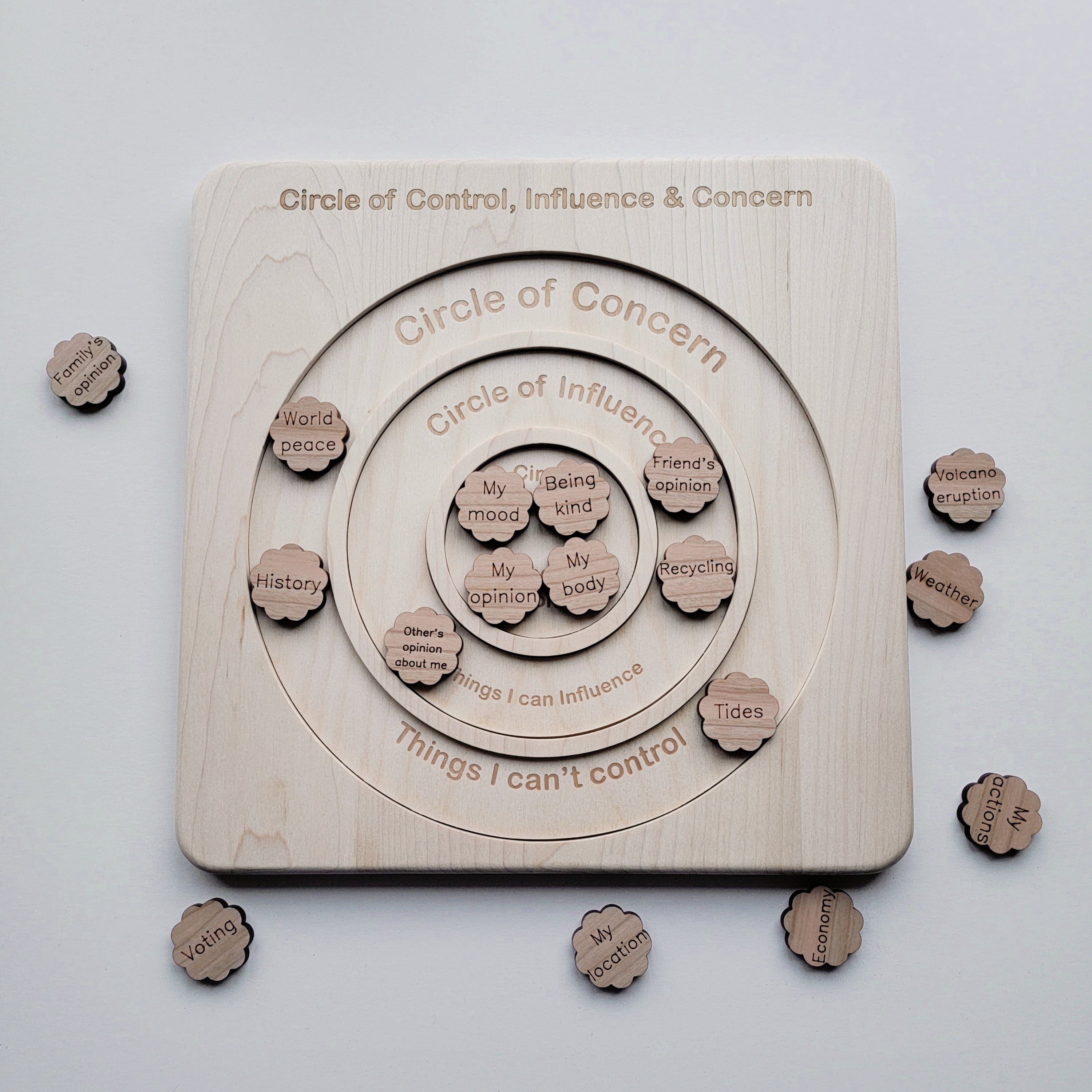 Circle of control board - circle of influence - circle of concern - Gr ...