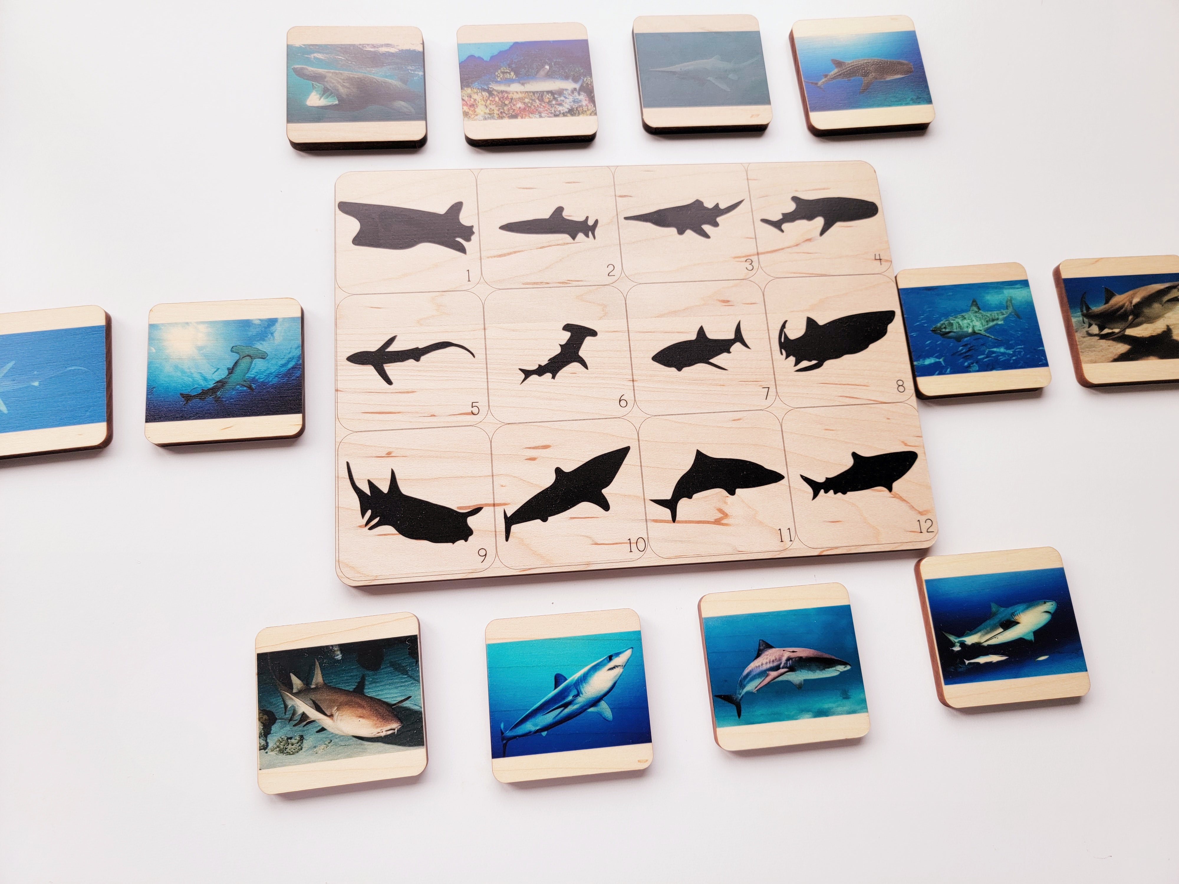 Shadow matching with types of sharks - visual discrimination – MirusToys