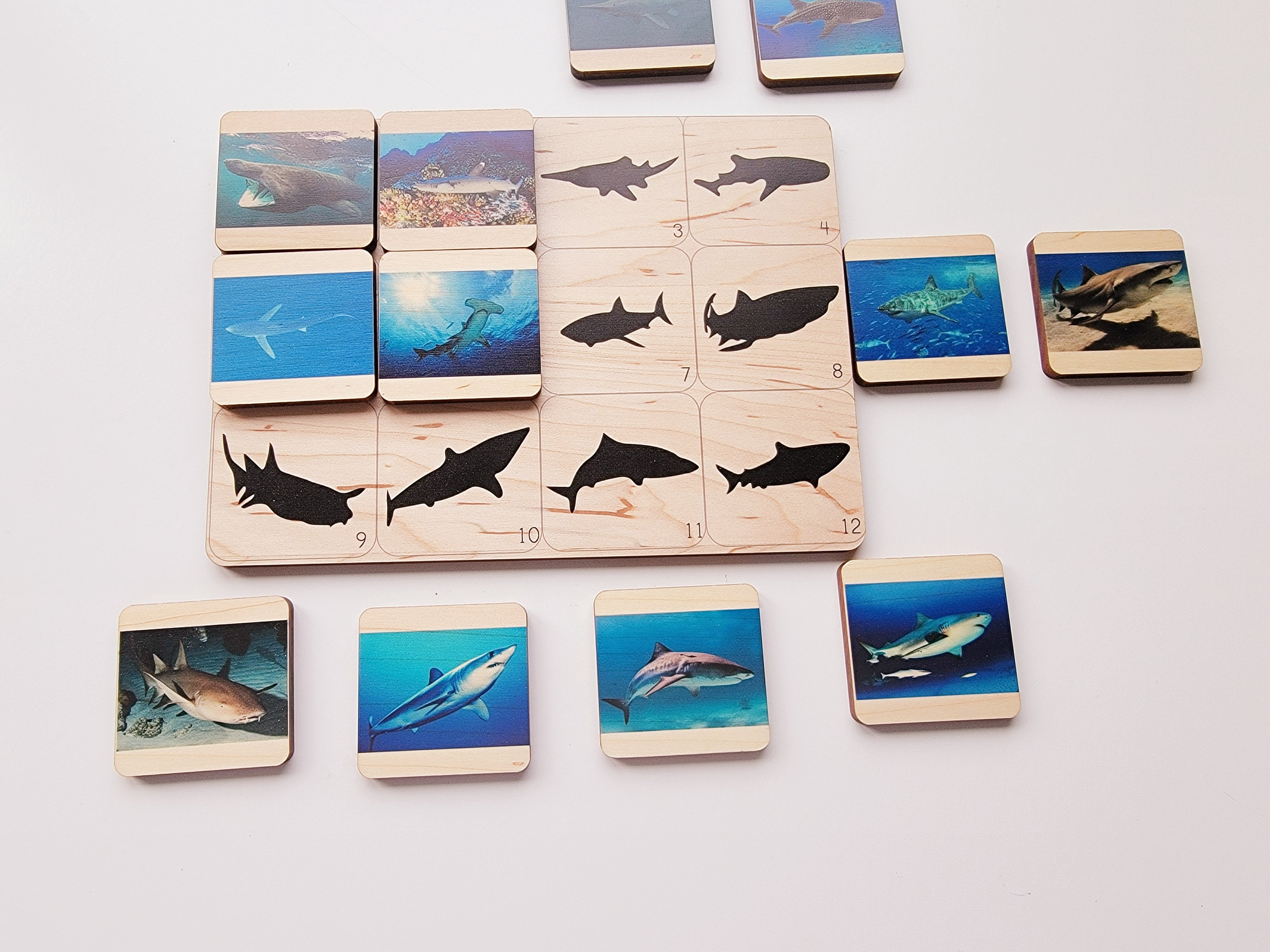 Shadow matching with types of sharks - visual discrimination – MirusToys