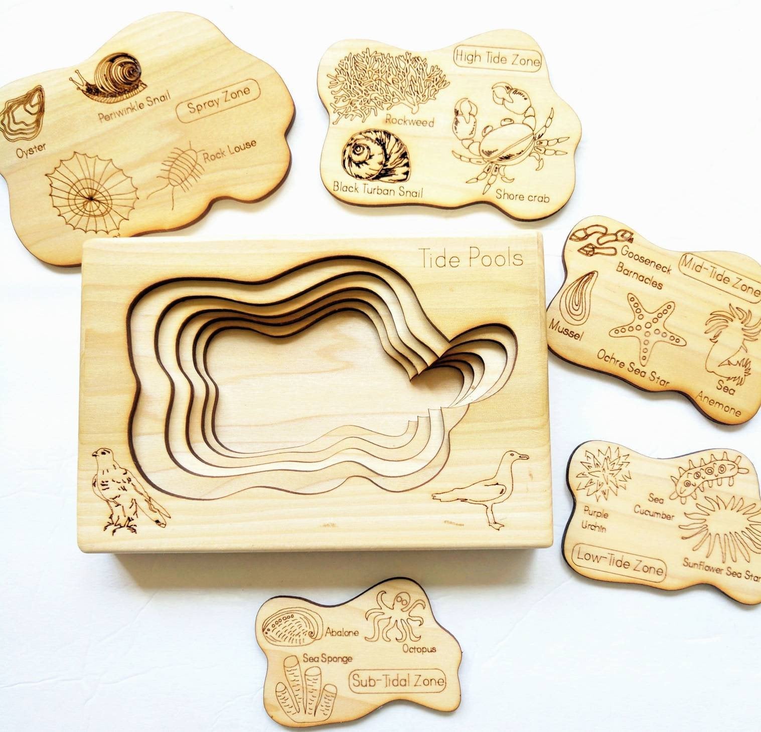 Tide pool layered puzzle, ocean wooden puzzle, montessori wooden puzzl ...