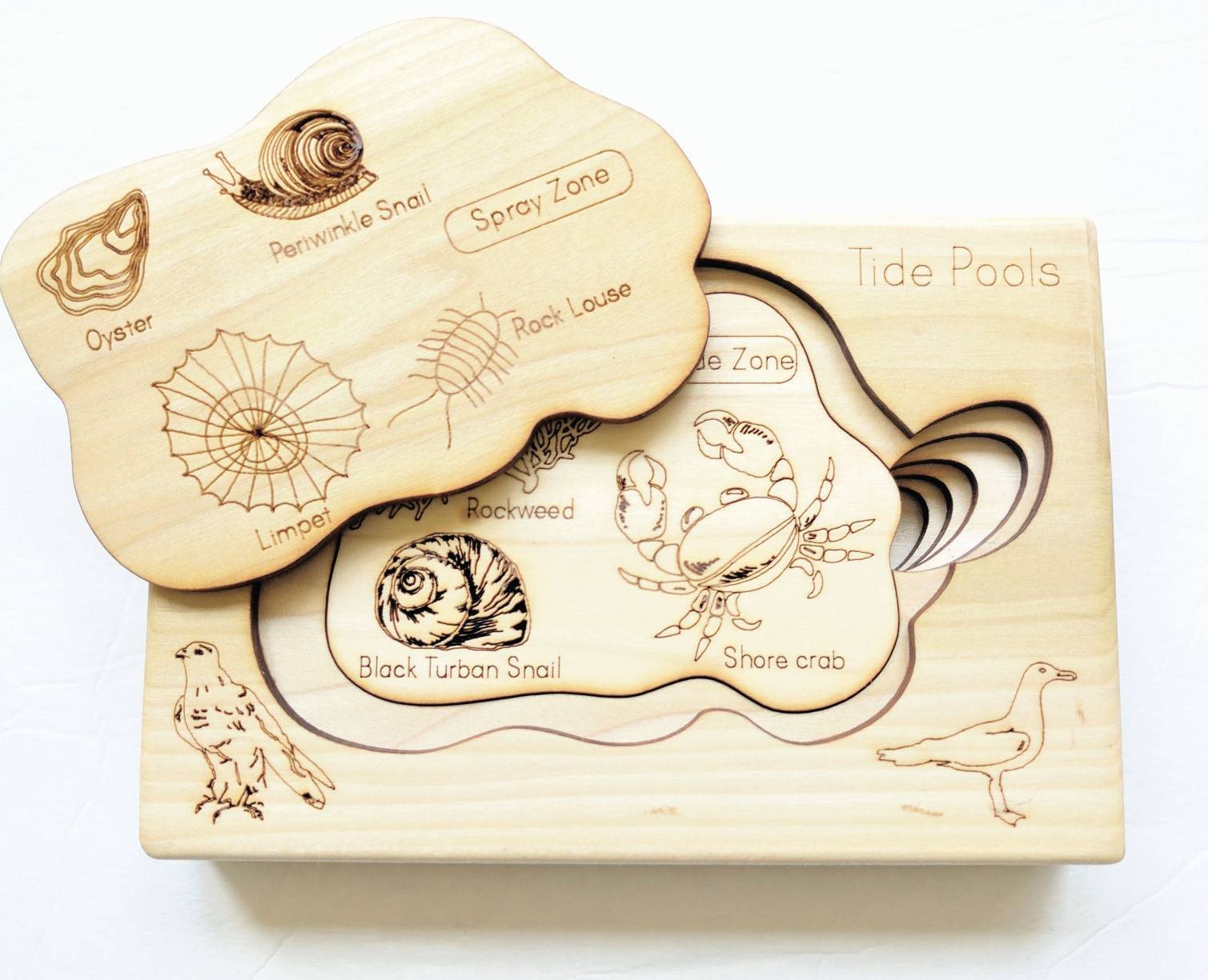 Tide pool layered puzzle, ocean wooden puzzle, montessori wooden puzzl ...
